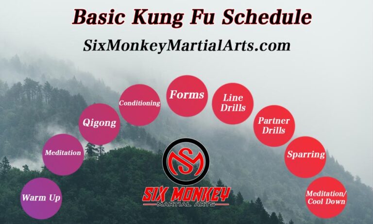 #1 Monkey Kung Fu In A Modern World - Six Monkey Martial Arts